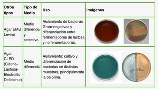TIPOS DE AGARES- MEDIOS DE CULTIVO pdf | PDF