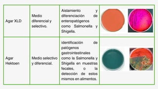 TIPOS DE AGARES- MEDIOS DE CULTIVO pdf | PDF