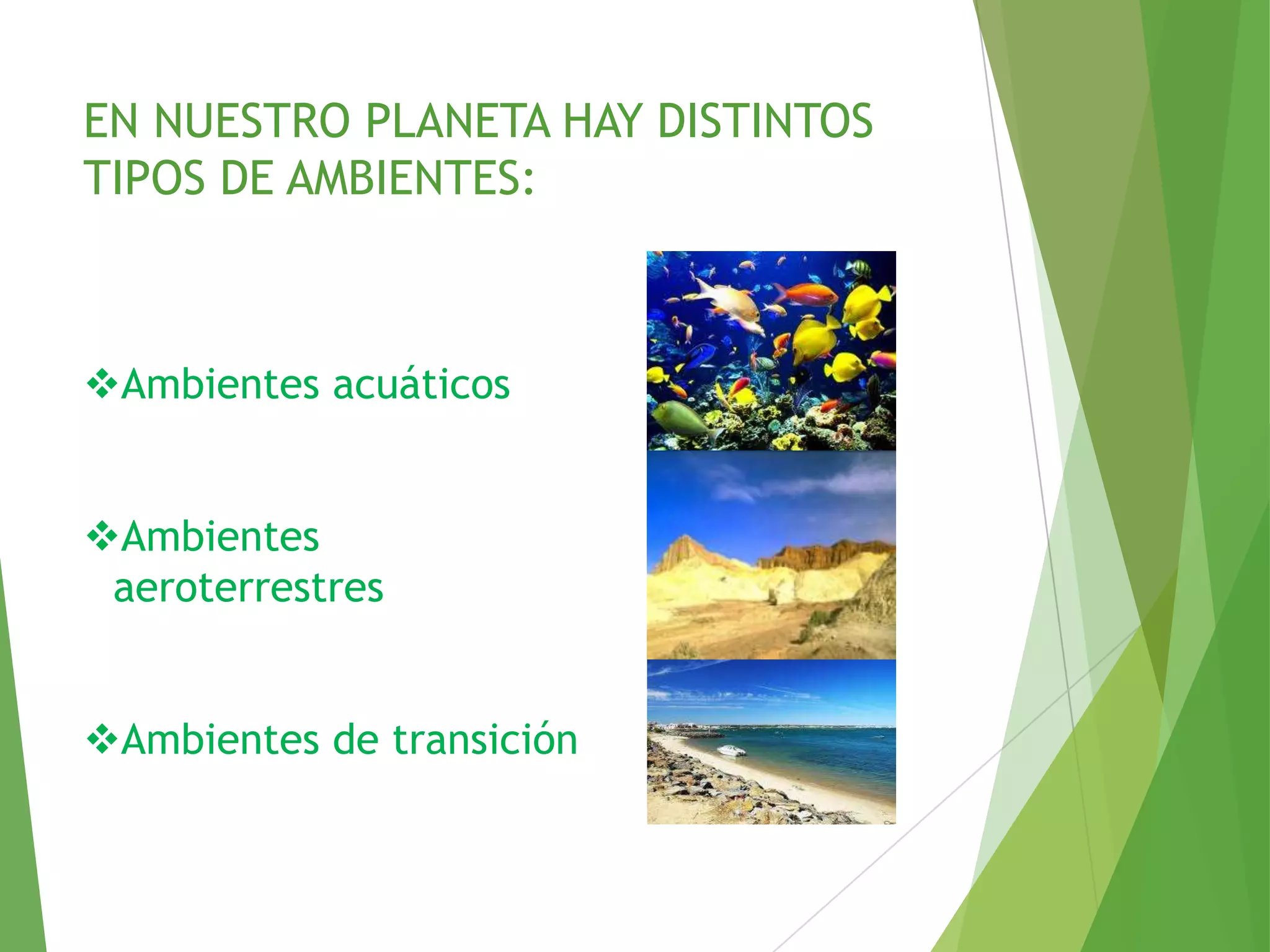 Tipos de ambientes | PPT