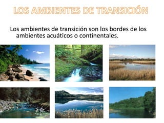 Tipos de ambientes sofia pega | PPTX