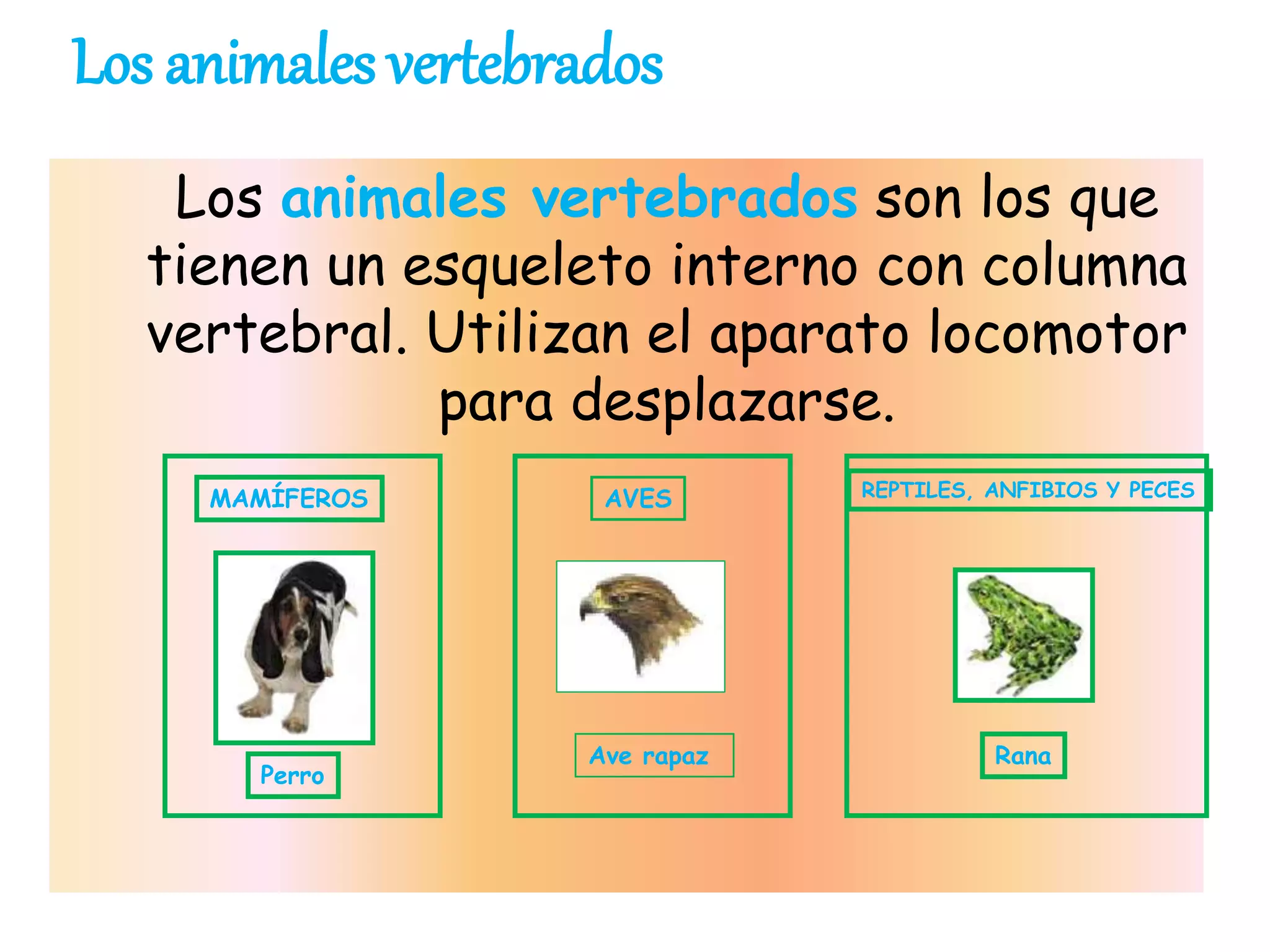 Tipos de animales | PPTX