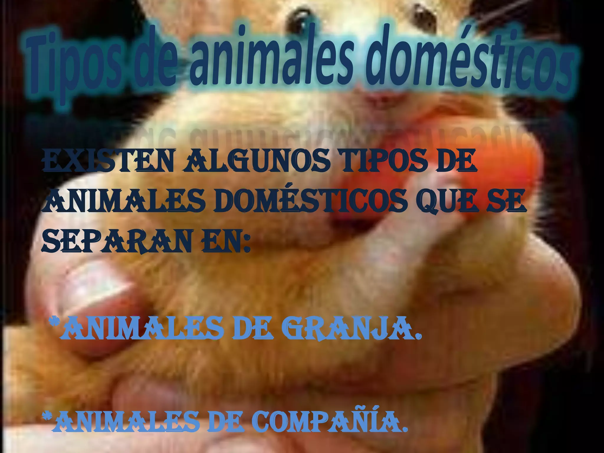 Tipos de animales domésticos | PPT
