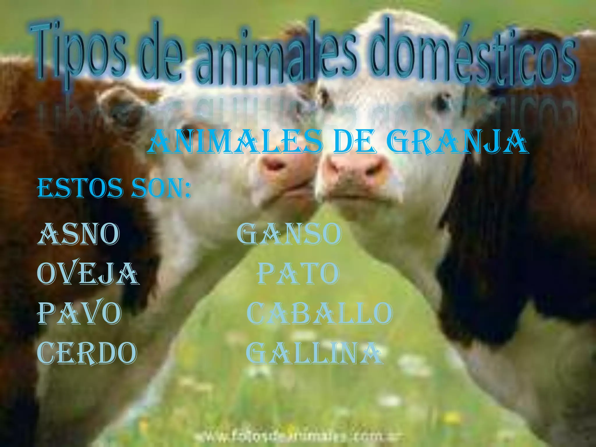 Tipos de animales domésticos | PPT