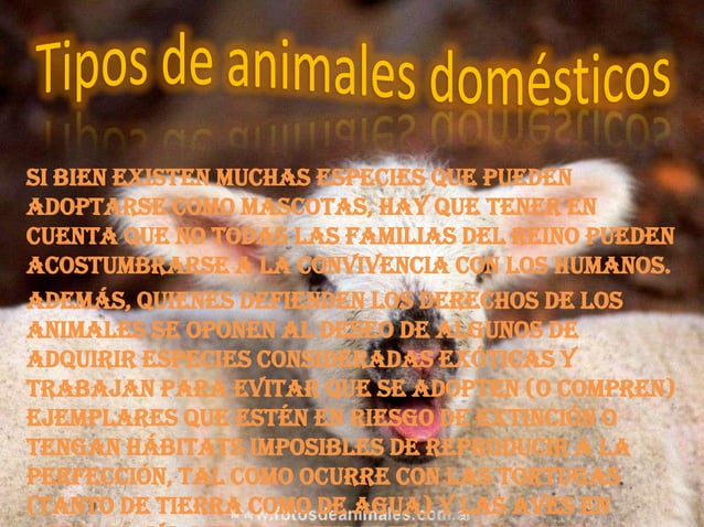 Tipos de animales domésticos | PPT