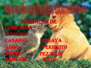 Tipos de animales domésticos | PPTX