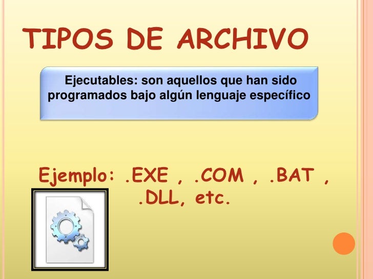 Tipos de archivos y extensiones flavia