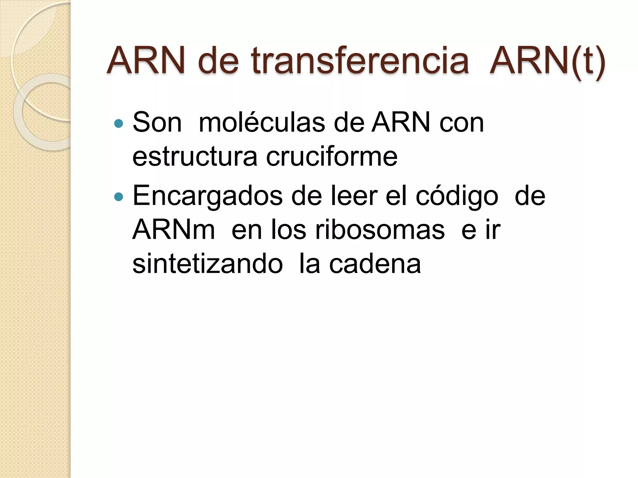 Tipos de ARN | PPTX