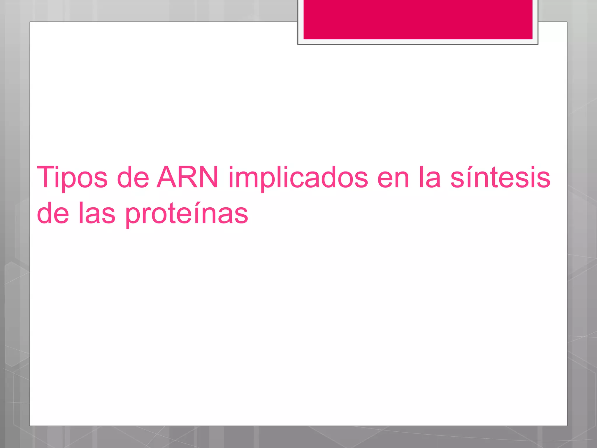 Tipos de ARN | PPTX