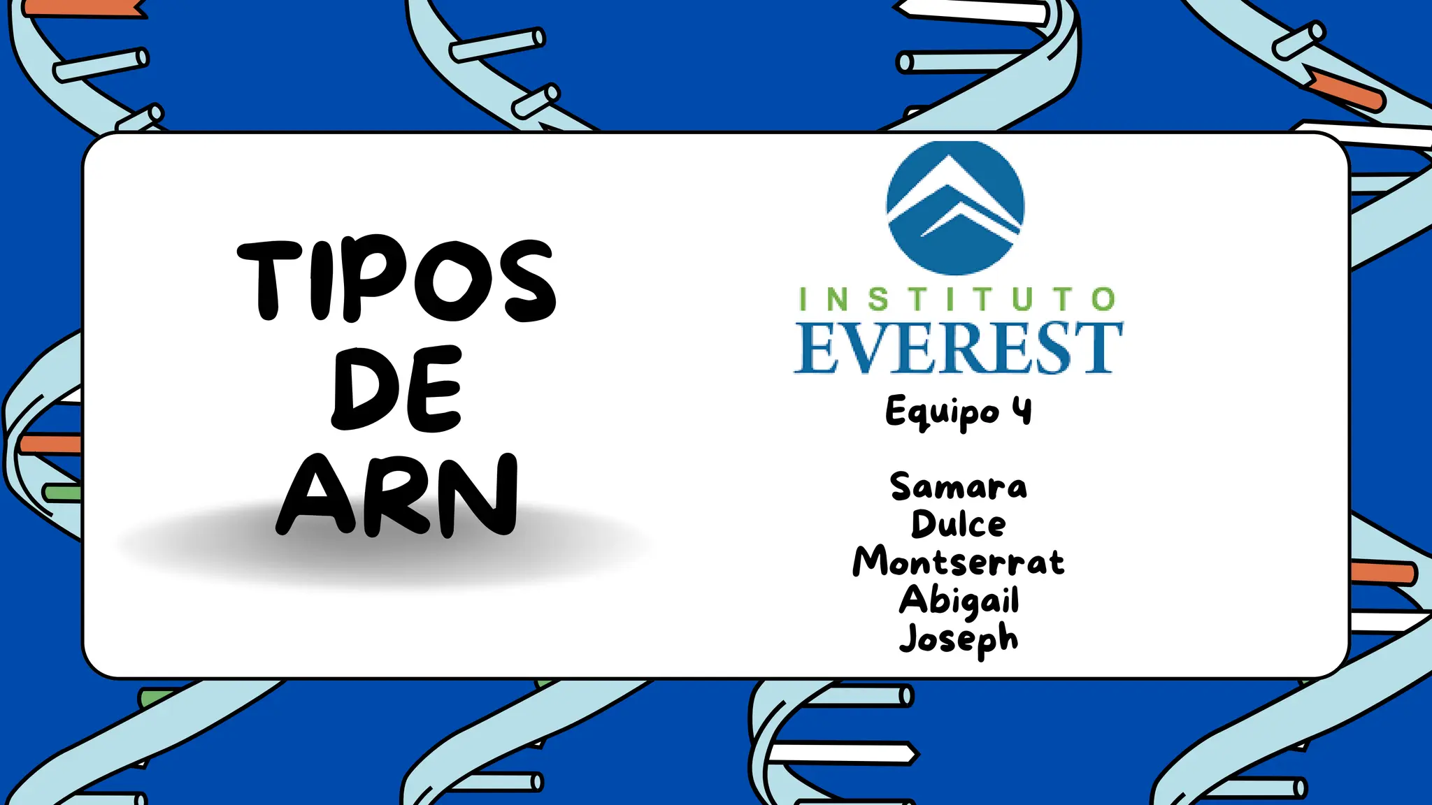 TIPOS DE ARN BM.pdfxxdddzdddddddddxfffrrrr | PDF