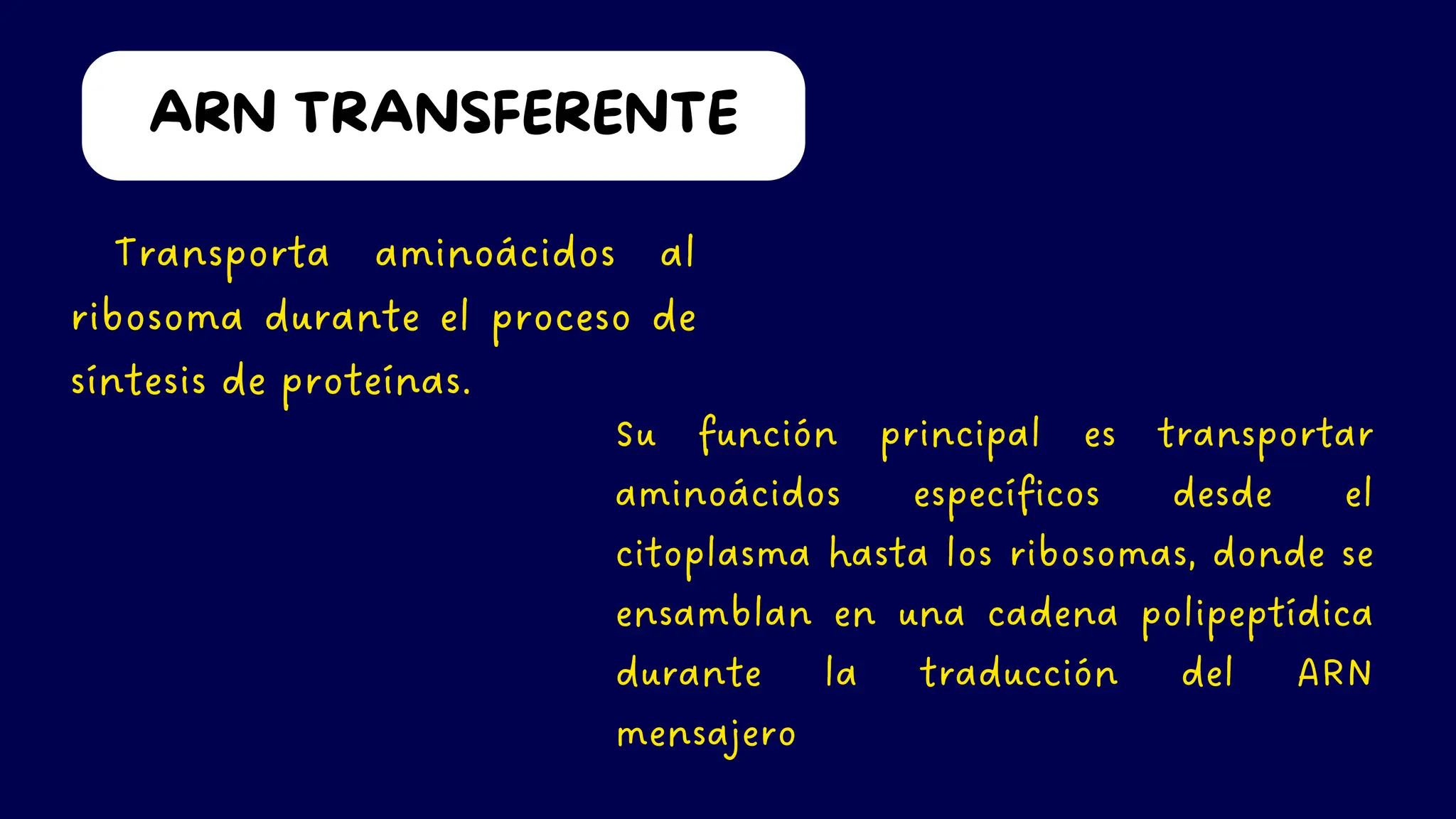TIPOS DE ARN BM.pdfxxdddzdddddddddxfffrrrr | PPT