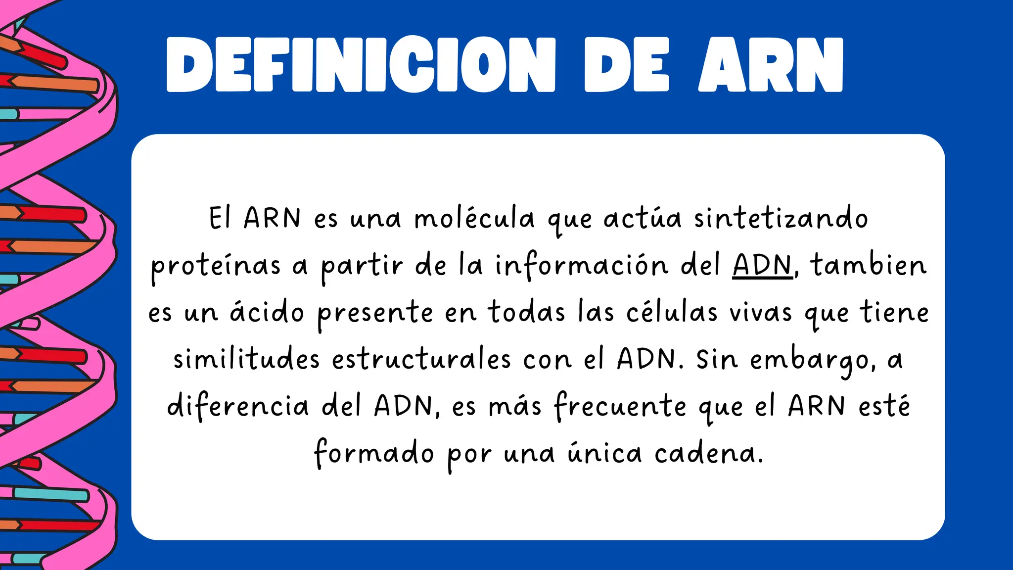 TIPOS DE ARN BM.pdfxxdddzdddddddddxfffrrrr | PPT