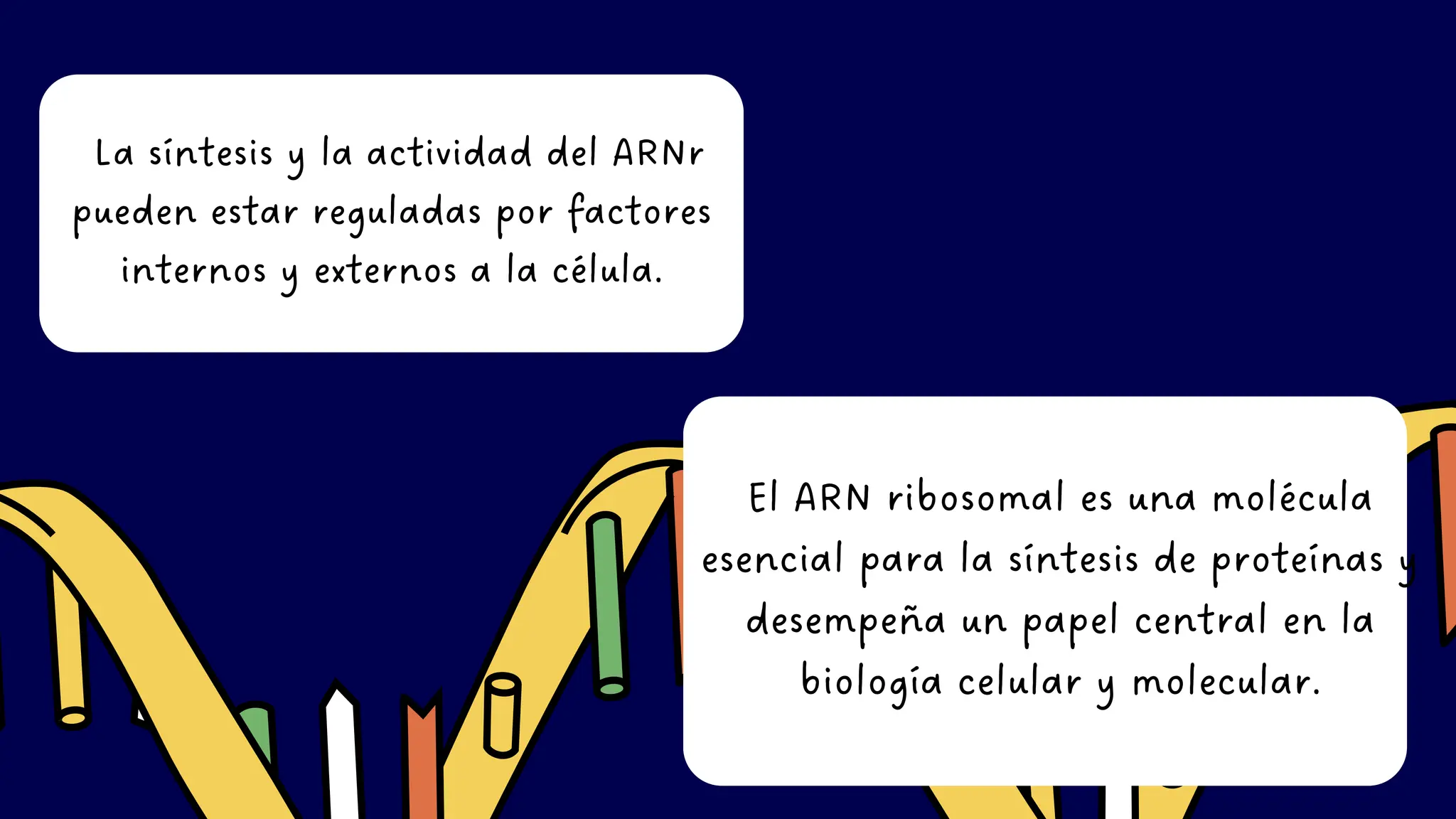 TIPOS DE ARN BM.pdfxxdddzdddddddddxfffrrrr | PPT