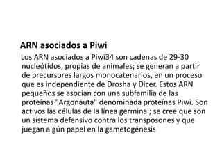 Tipos de arn | PPTX