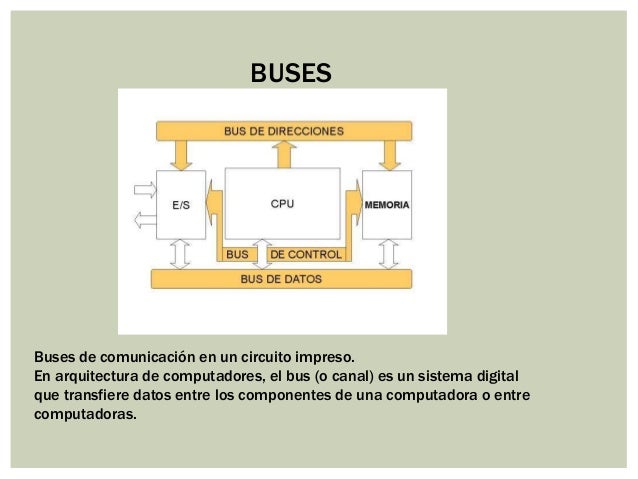 Tipos de buses