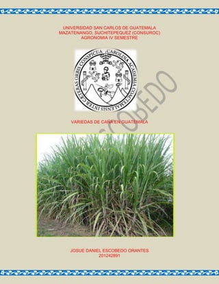 Tipos de caña daniel final | PDF