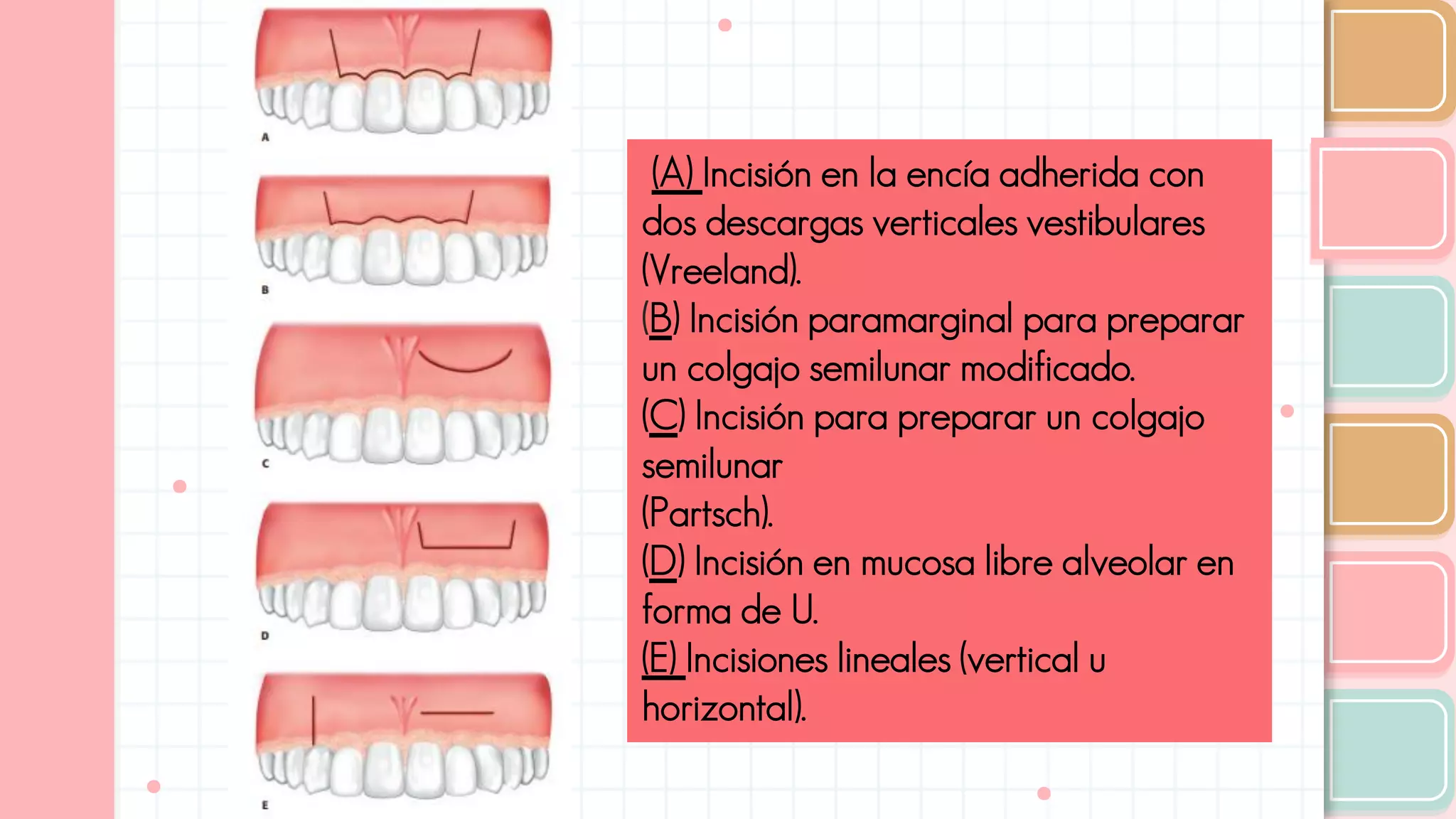 TIPOS DE COLGAJOS.pdf