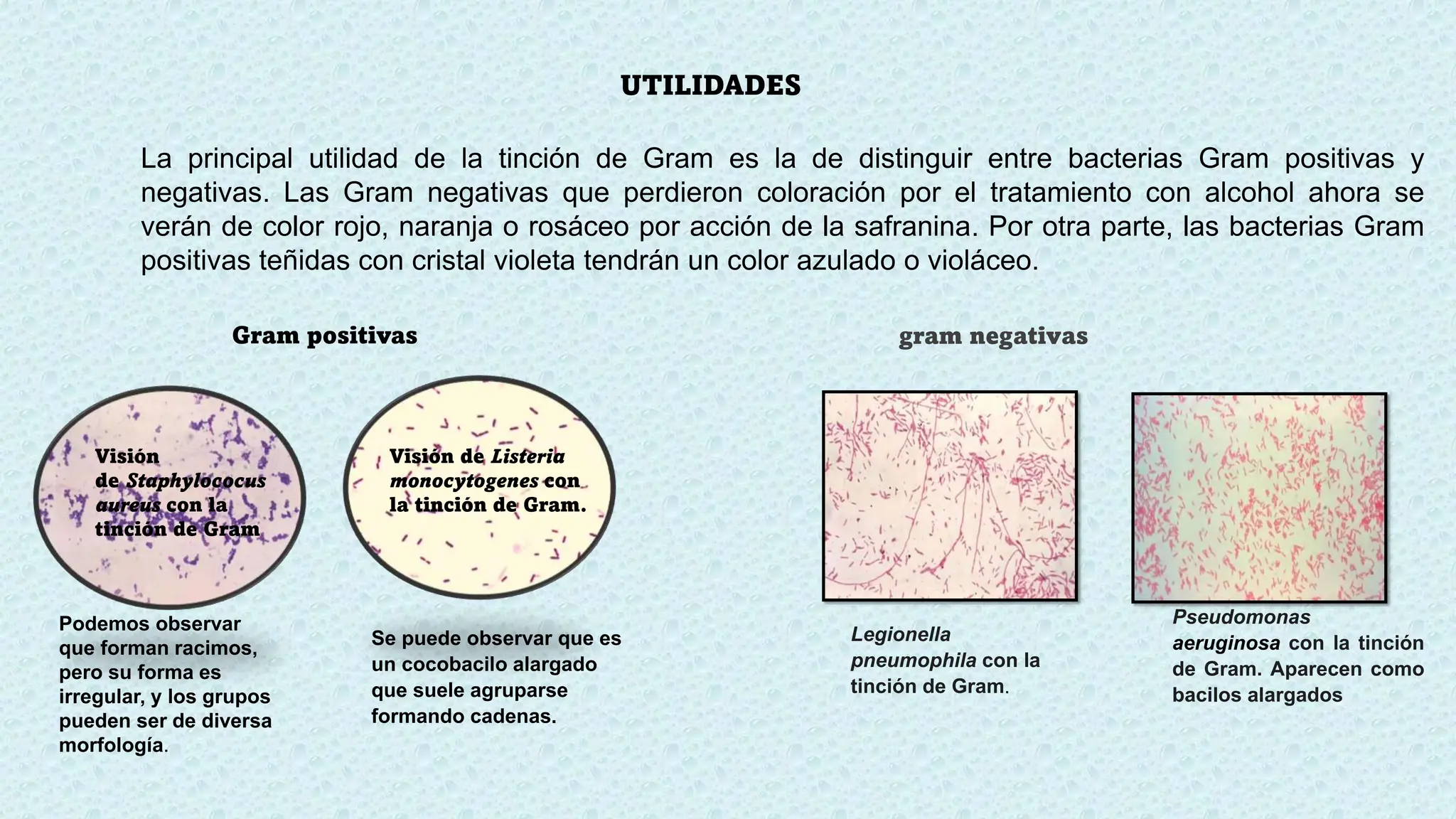 tipos de colorantes / para laboratorio clínico | PPTX