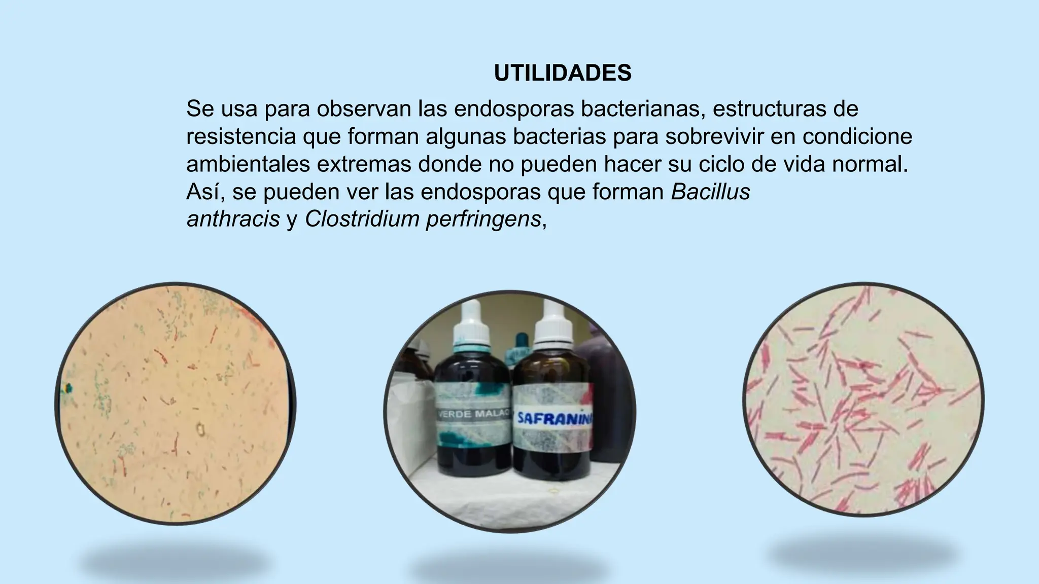 tipos de colorantes / para laboratorio clínico | PPTX