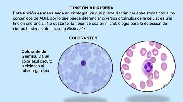 tipos de colorantes / para laboratorio clínico | PPTX