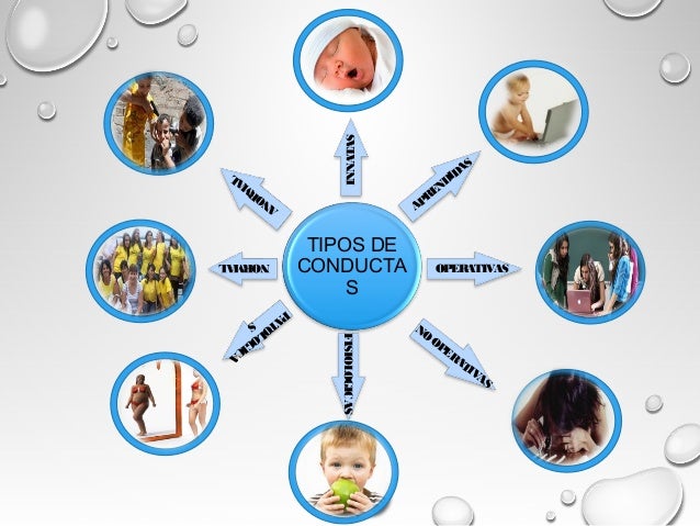 El Blog de Maria Colmenarez