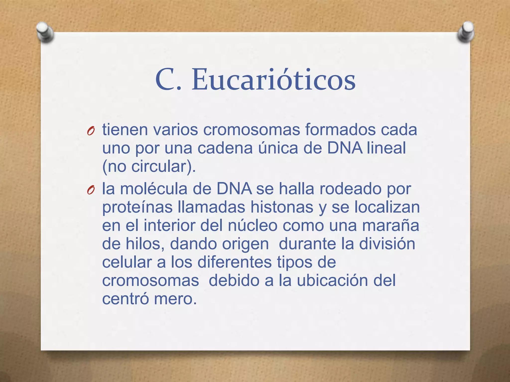 Tipos de cromosomas | PPTX