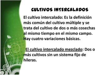 Tipos de cultivo | PPSX