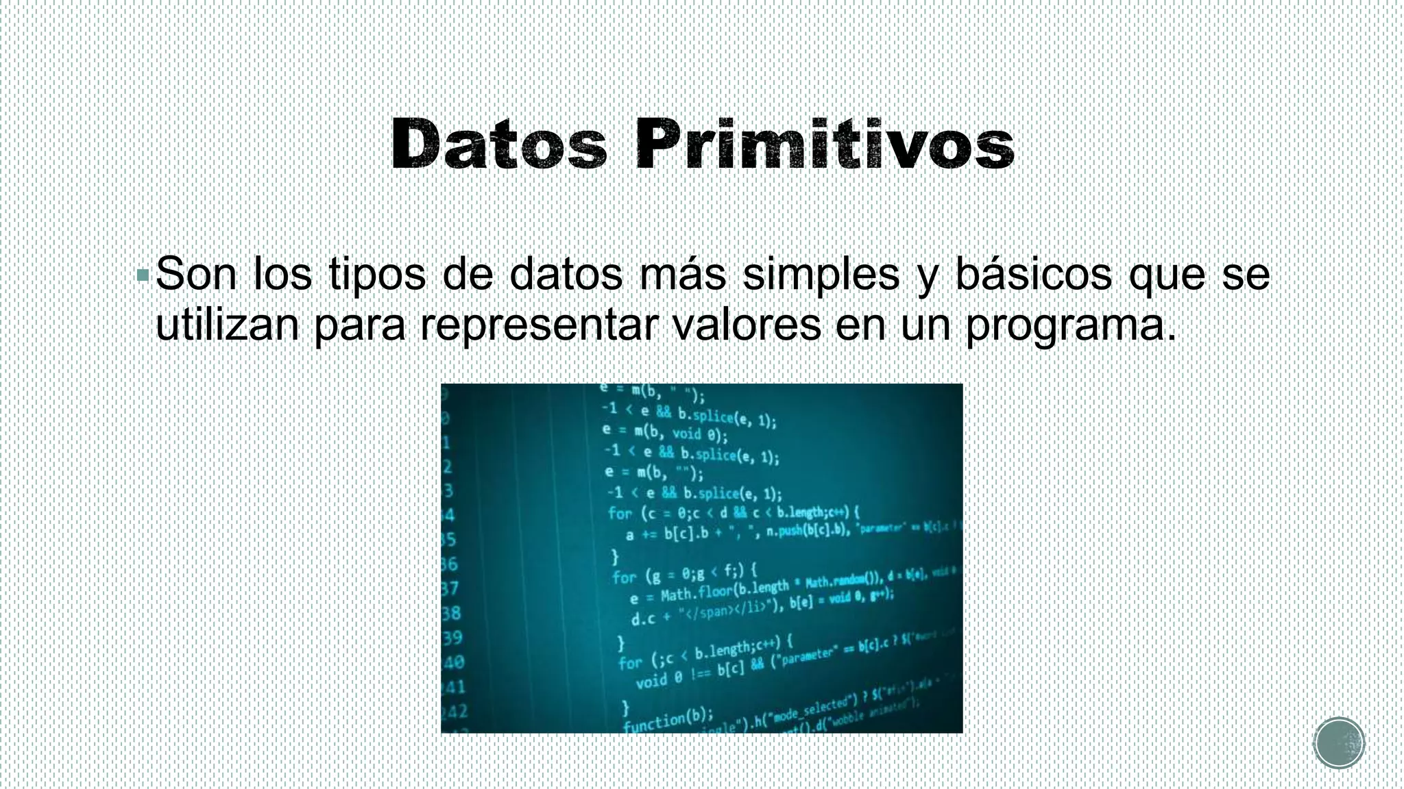 Tipos de Datos Primitivos | PPTX