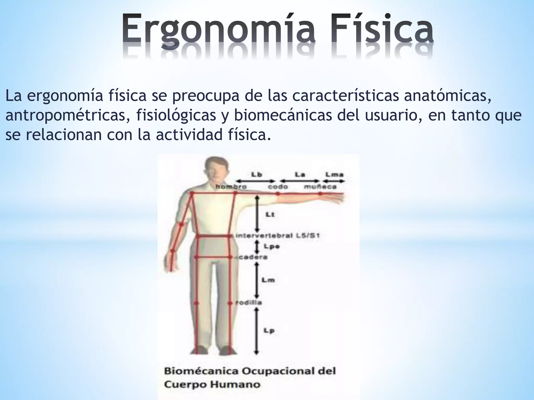 Tipos de ergonomía | PPTX