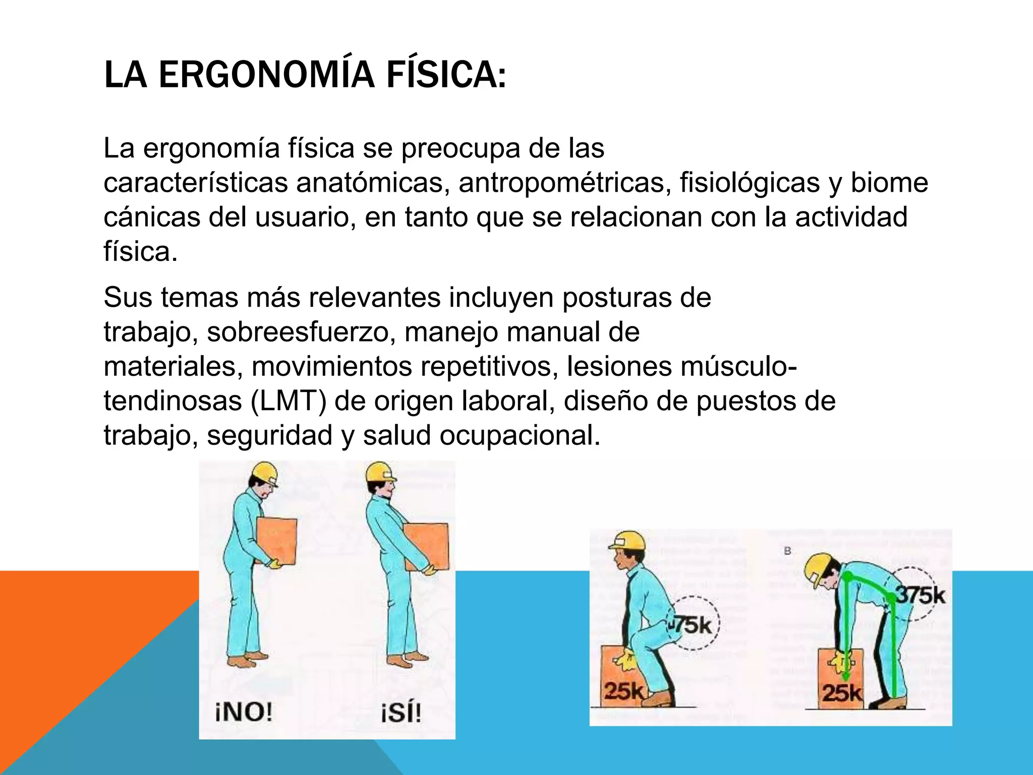 Tipos de ergonomia | PPTX