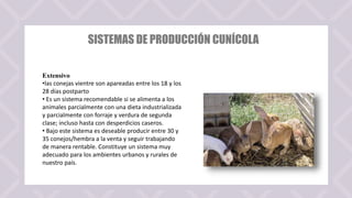 TIPOS DE EXPLOTACIONES E INSTALACIONES DE LA PRODUCCION CUNICULA.pptx
