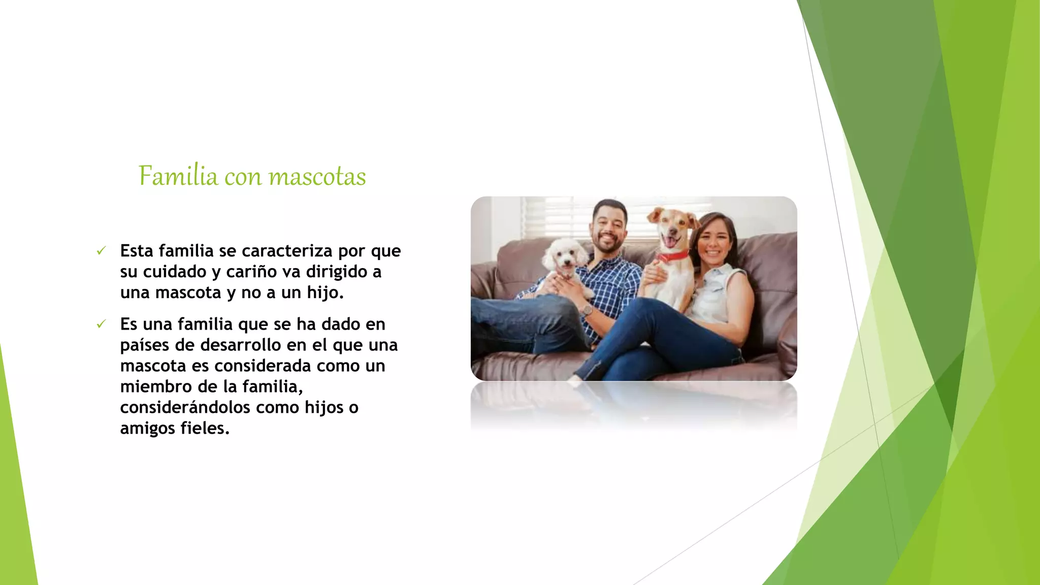 Tipos de familia presentacion | PPTX