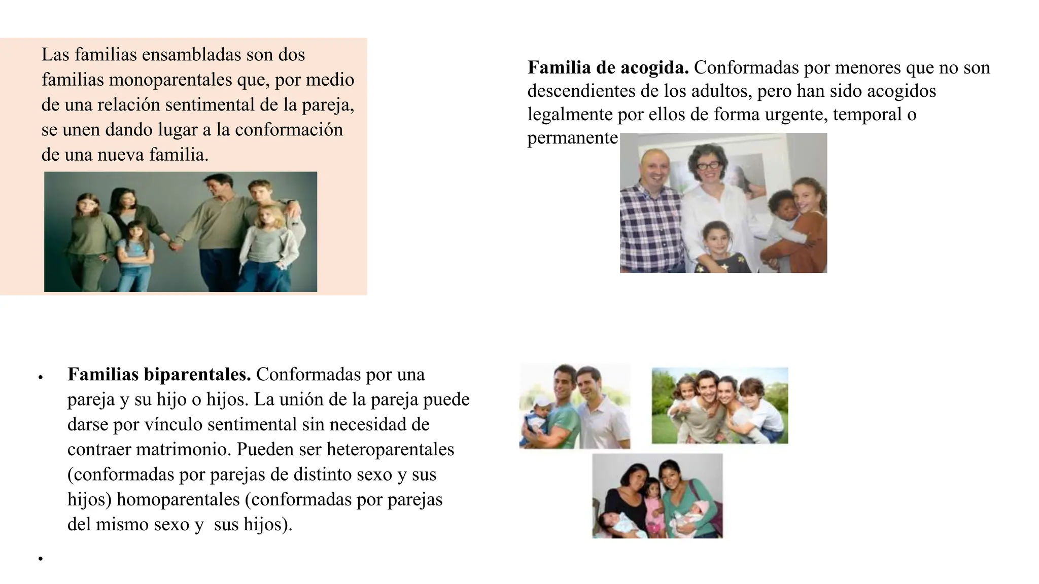 TIPOS DE FAMILIAS.pptx