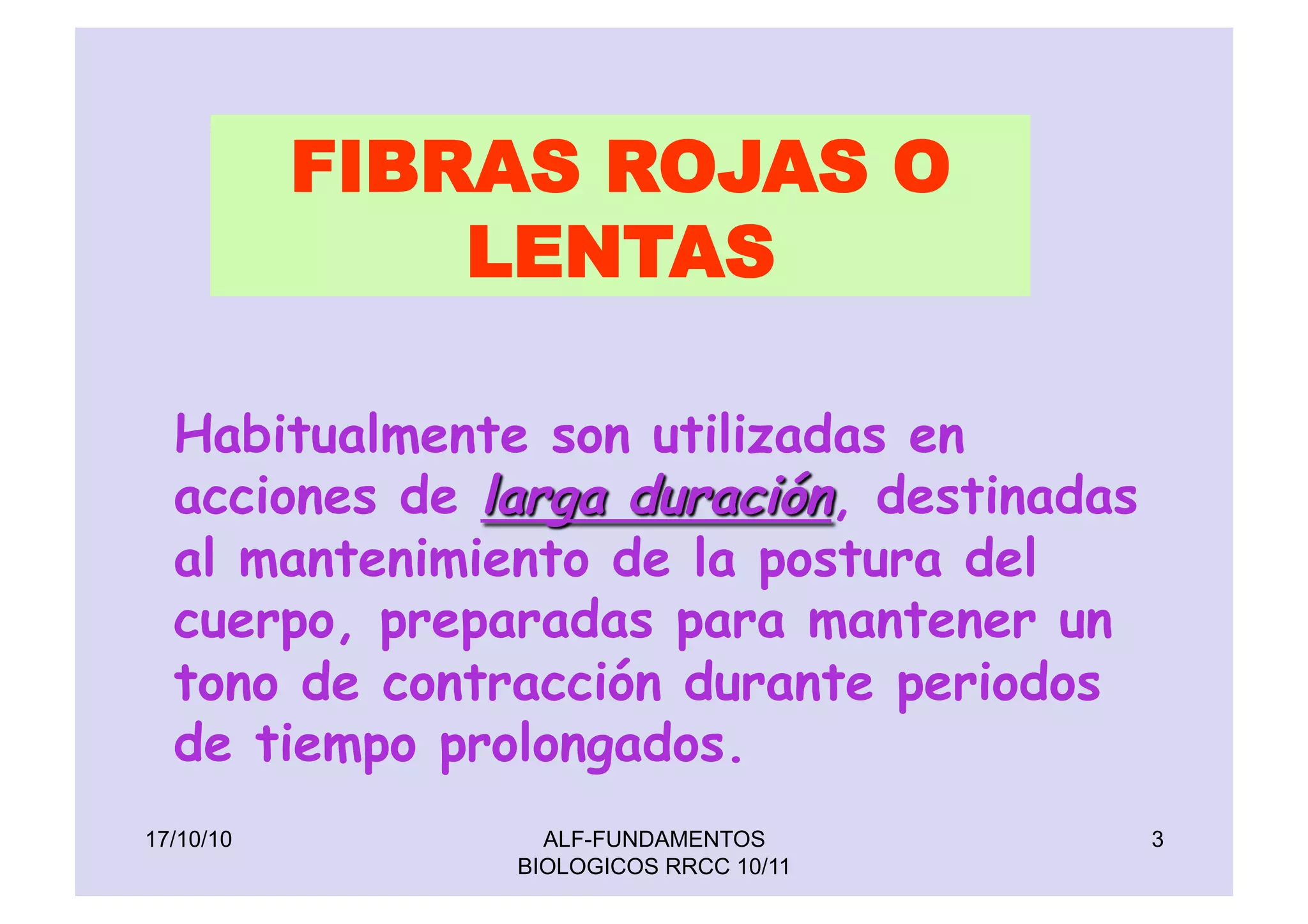 Tipos de fibras 9 | PDF