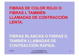 Tipos de fibras 9 | PDF