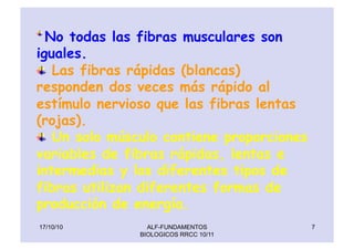 Tipos de fibras 9 | PDF