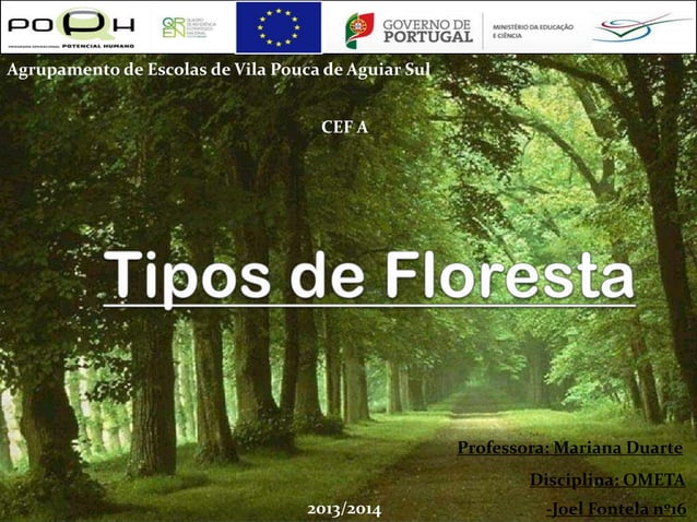Tipos de florestas | PPTX | Landscaping | Home & Garden