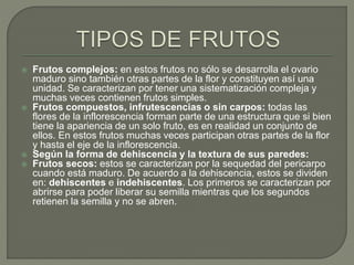 Tipos de flores y frutos | PPTX