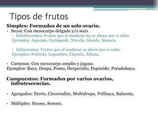 Tipos de frutos | PPTX