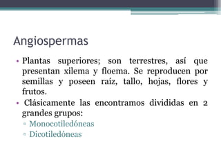Tipos de frutos | PPTX