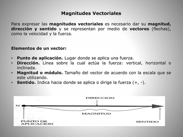 Tipos de fuerzas vectoriales y sus diagramas de cuerpo libre ...
