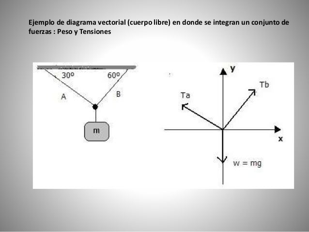Tipos de fuerzas vectoriales y sus diagramas de cuerpo libre