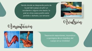Tipos de Heridas.pdf abiertas y cerradas | PDF