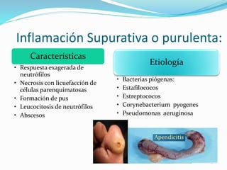 Tipos de inflamación | PPTX