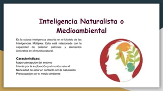 Tipos de inteligencia | PPTX