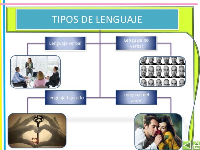4 Tipos De Lenguaje 4 Tipos De Lenguaje