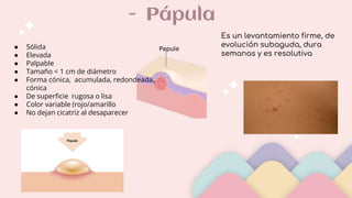 Tipos de lesiones en la piel.pptx