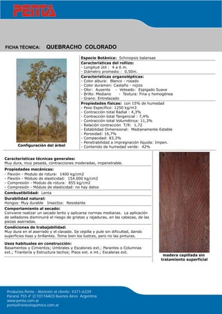 Tipos de maderas | PDF