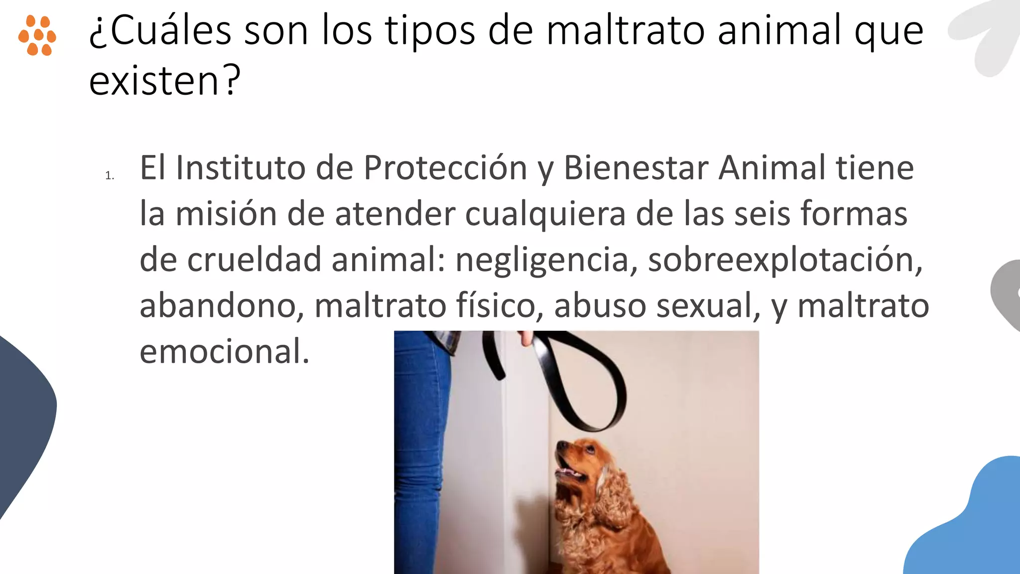 Tipos De Maltrato Animal.pptx