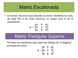 Tipos de matrices | PPTX