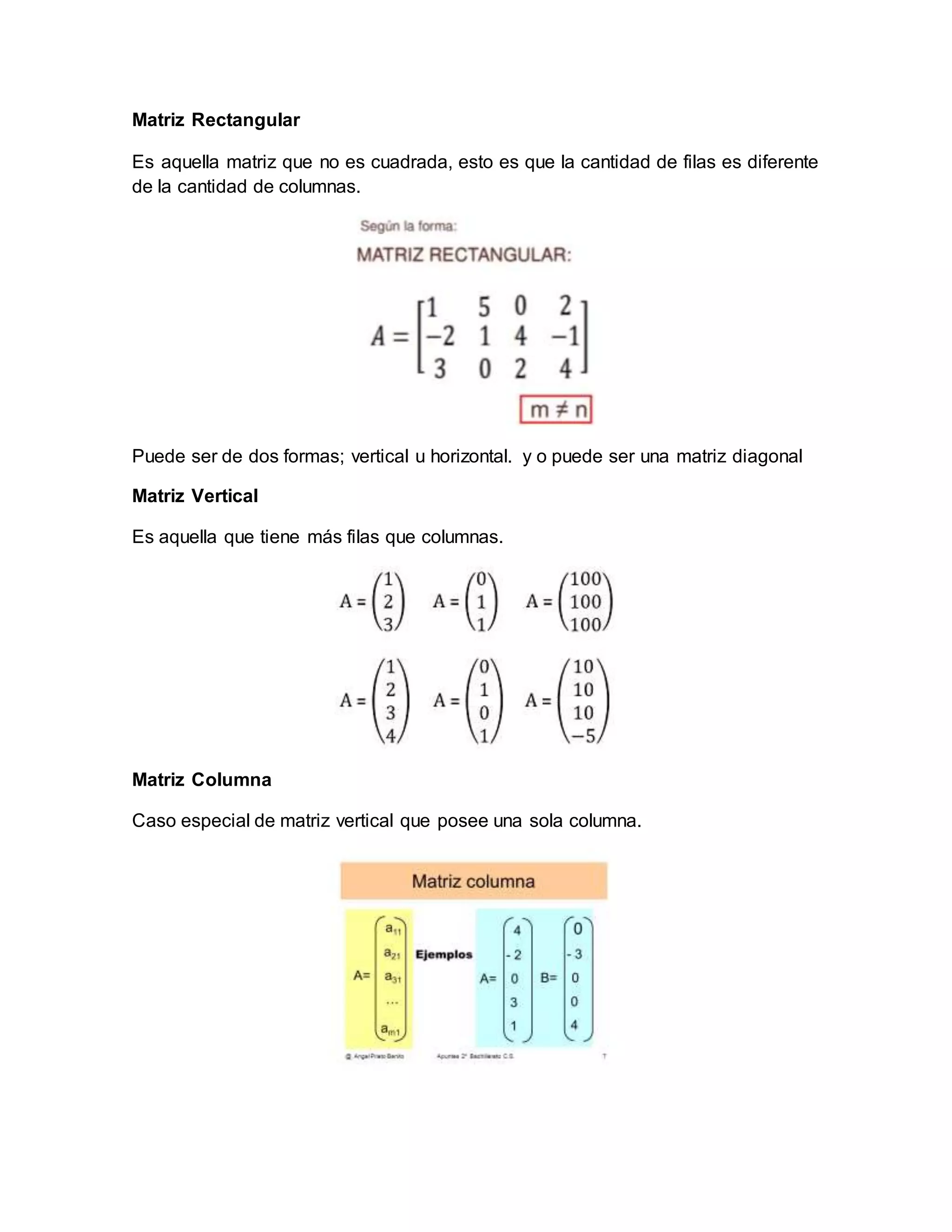 Tipos de matrices | PDF